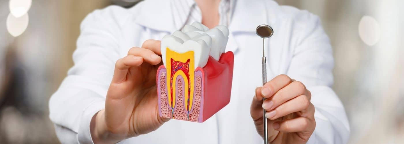Endotontics - Root Canal Treatment - Avrupa UBK Dental Fatih